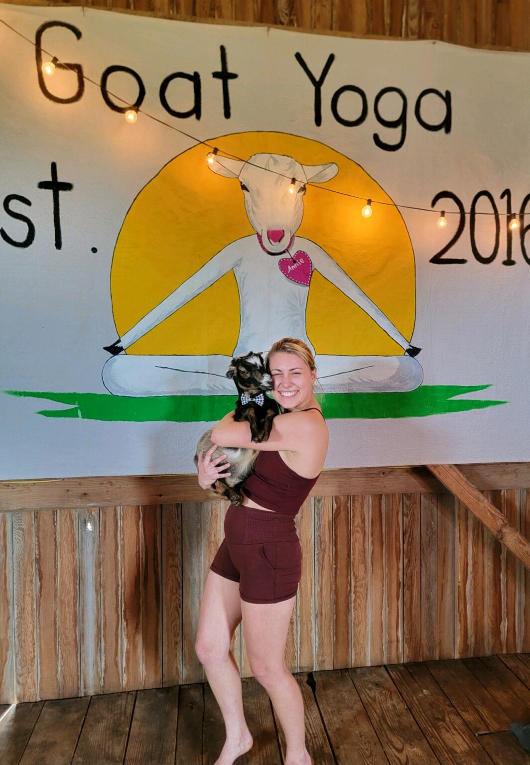 GOATing through the week with the Original Goat Yoga MI | Original Goat ...